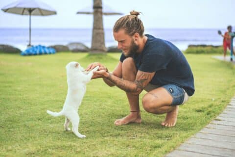 Why Do Dogs Love Humans? Exploring The Bond Between Dogs And People