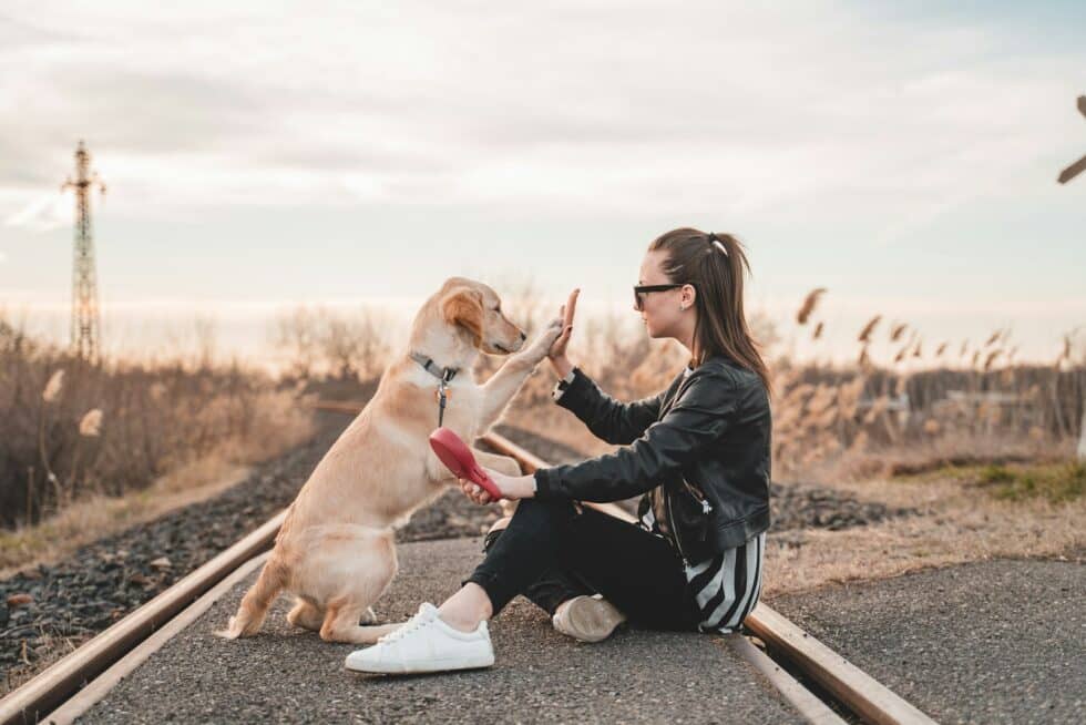 Understanding The Dog Side Eye: What It Means And Why It Happens ...