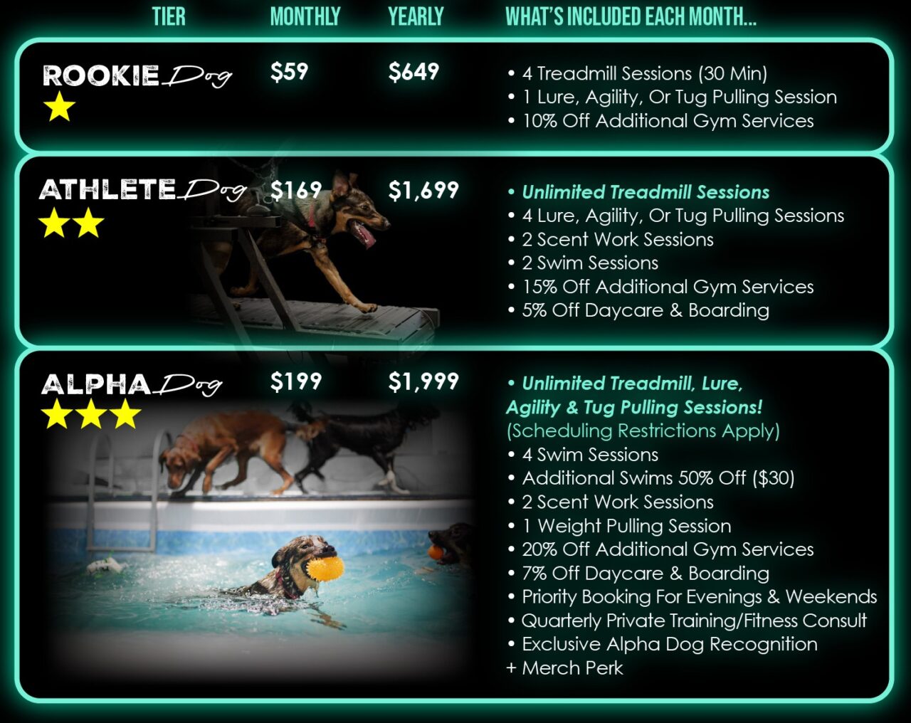 Dog Gym - Canine Cardio